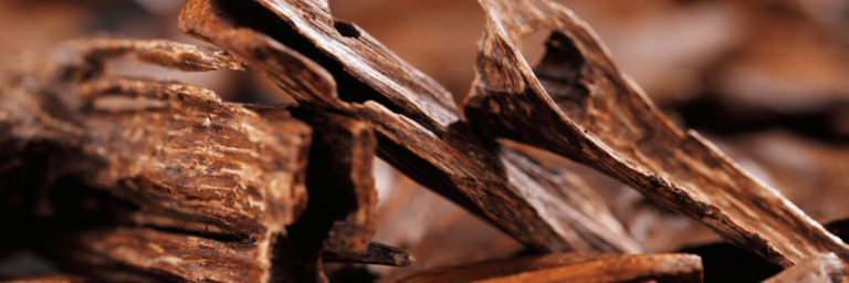 Al Zulfi: A Historical Oasis in Saudi Arabia | Al Mutalib